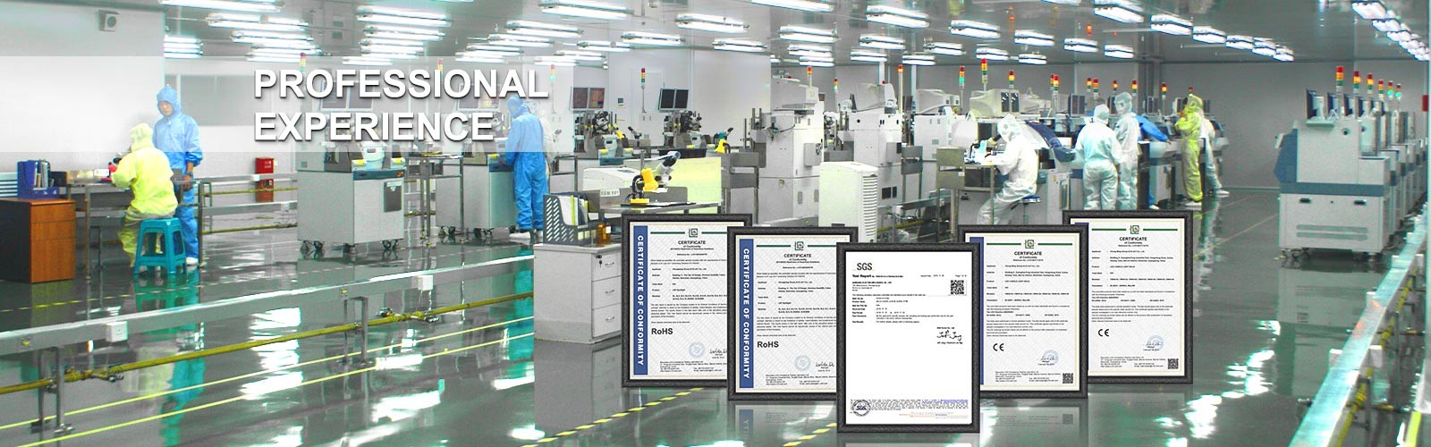 Flash Memory IC Chip & Programmable IC Chip Manufacturer